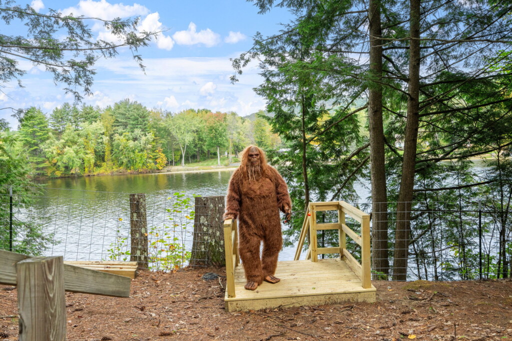 Upstate New York Cabin Rentals